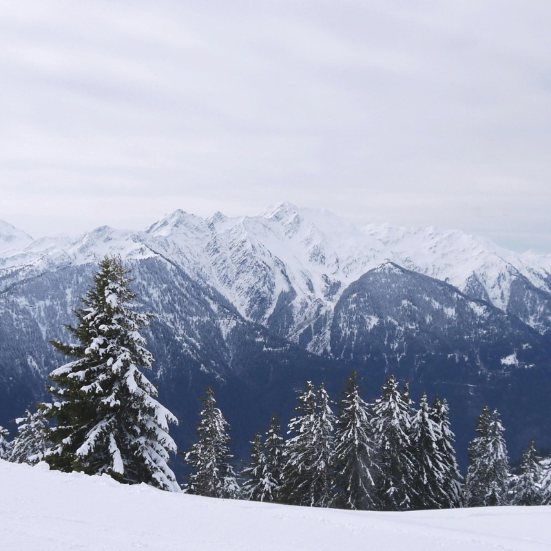 Downtown - Reece Geller: Song Lyrics, Music Videos & Concerts