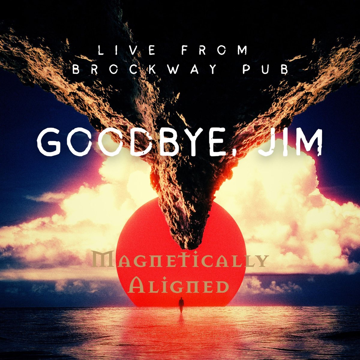 ‎Goodbye, Jim (Live From Brockway Pub) - Single - Album by Magnetically Aligned - Apple Music