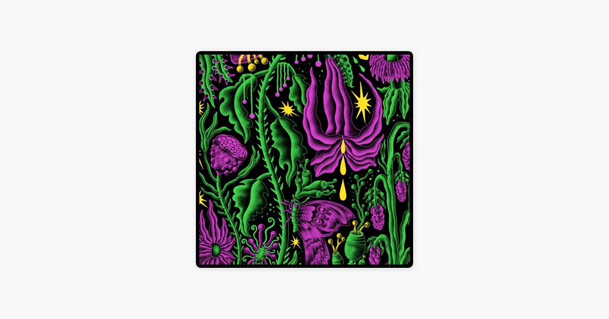 ‎Smoke & Mirrors (Live in Tilburg '25) - Brano di bootleg gizzard ...