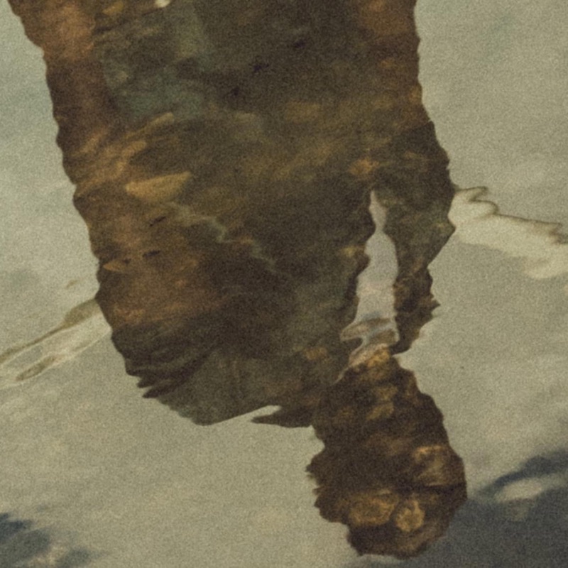 You - Solo Davis: Song Lyrics, Music Videos & Concerts