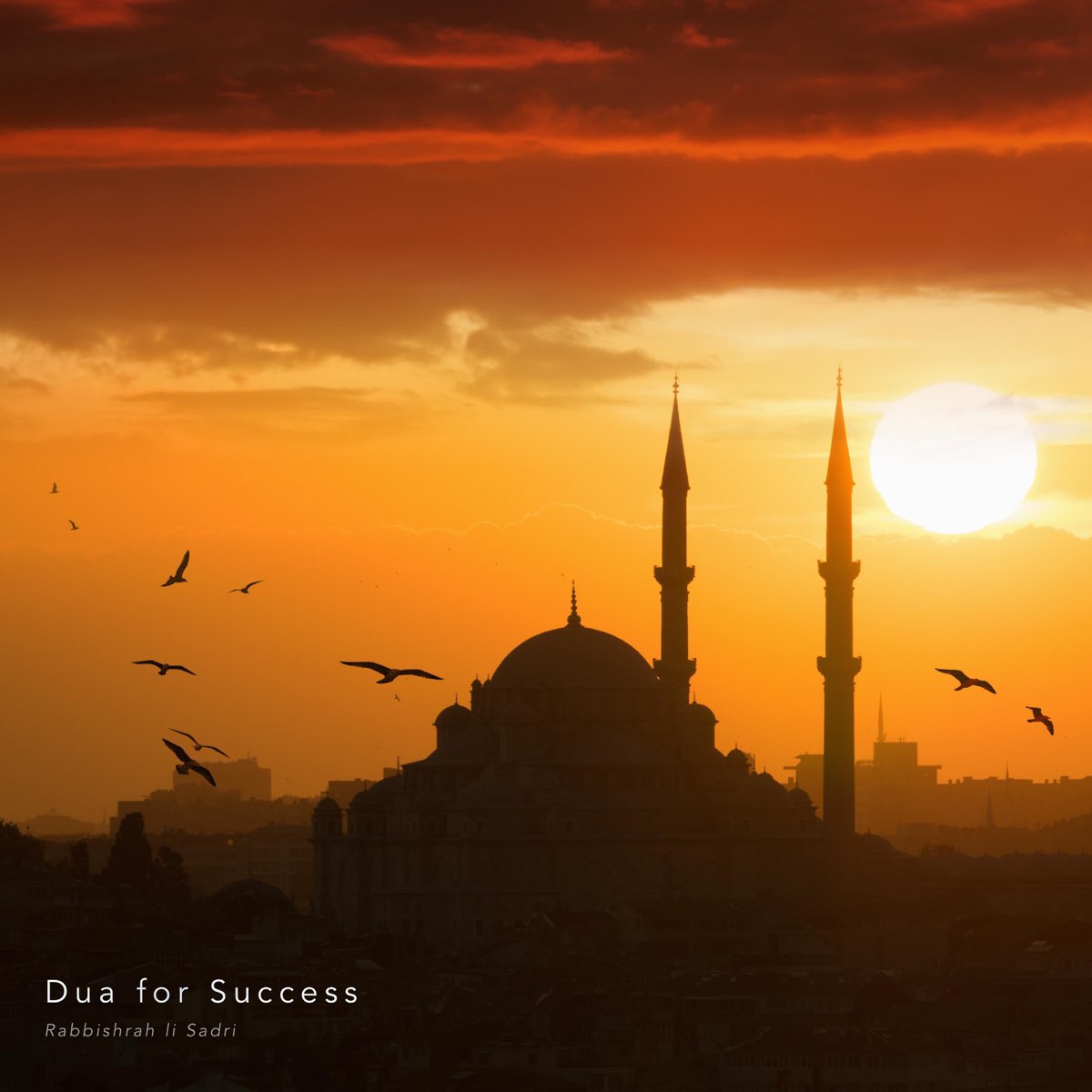 ‎Dua for Success (Rabbishrah li Sadri) - Single - Album by Omar Hisham ...