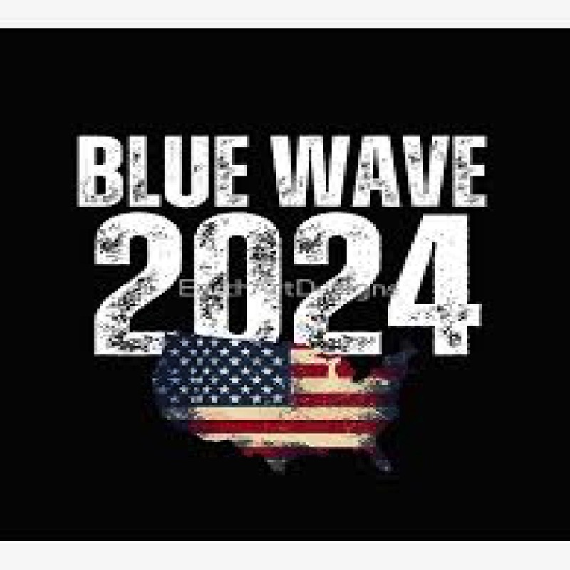 Blue Wave 2024 - Steve Shapiro: Song Lyrics, Music Videos & Concerts