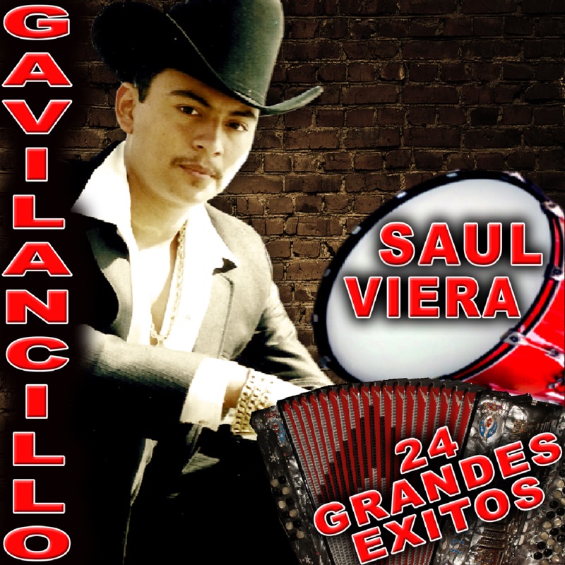 Kilómetro 1160 - Saul Viera El Gavilancillo: Song Lyrics, Music Videos ...