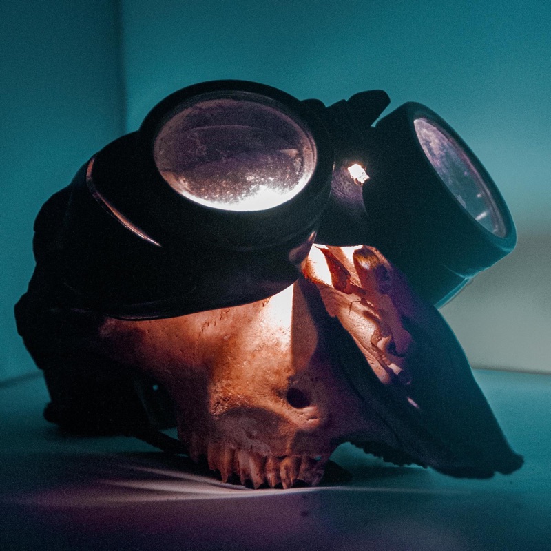 Black Shuck - Xenon Fox: Song Lyrics, Music Videos & Concerts