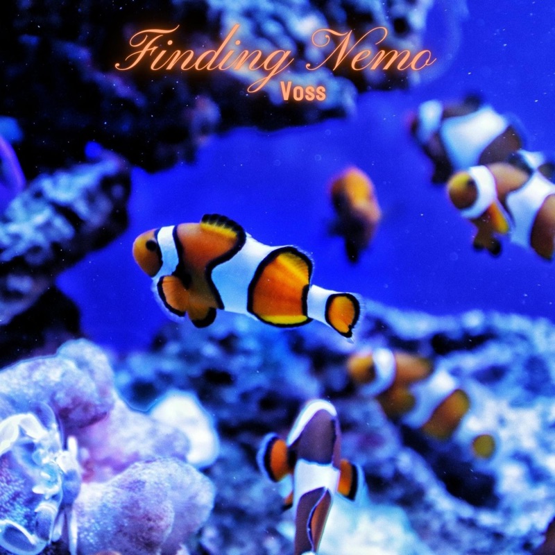 Finding Nemo - Voss: Song Lyrics, Music Videos & Concerts