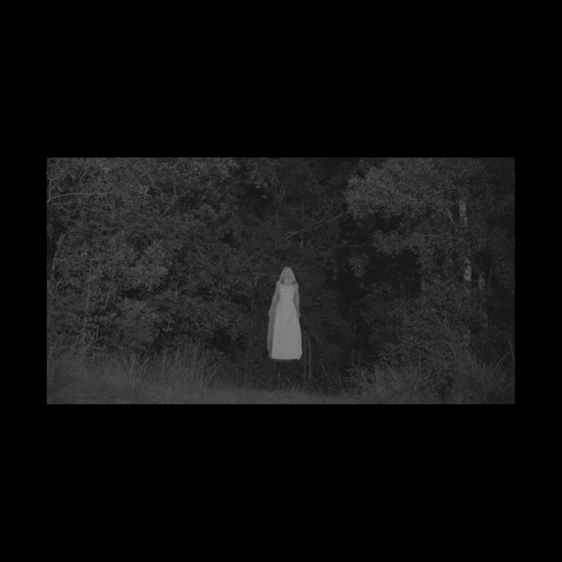 Shark Island (feat. Muks Died) - Huskii & Ribby247: Song Lyrics, Music ...