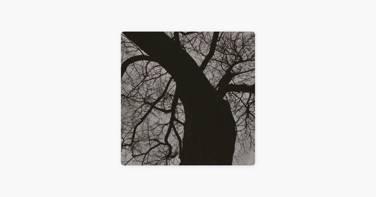 ‎Soft Scream - Single - Album by Ryan Sarai - Apple Music