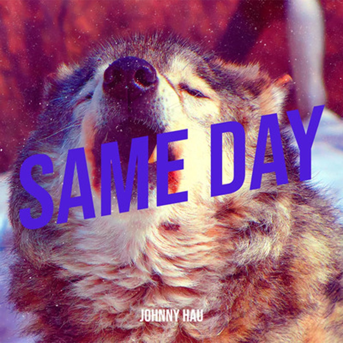 ‎Same Day - Single - Album by Johnny Hau - Apple Music