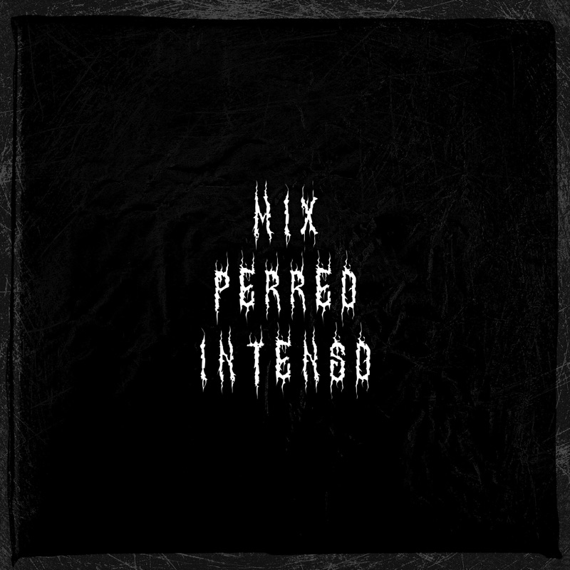 Mix Perreo Intenso (Old School 2025) - Roonh: Song Lyrics, Music Videos ...