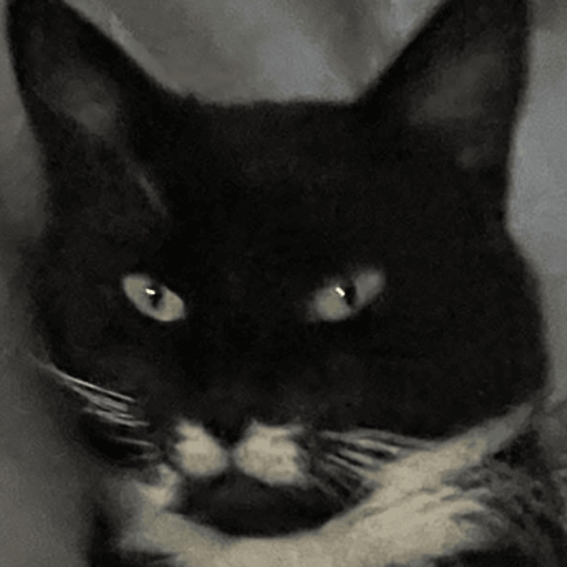 Sigma Boy - DJ Sigma: Song Lyrics, Music Videos & Concerts