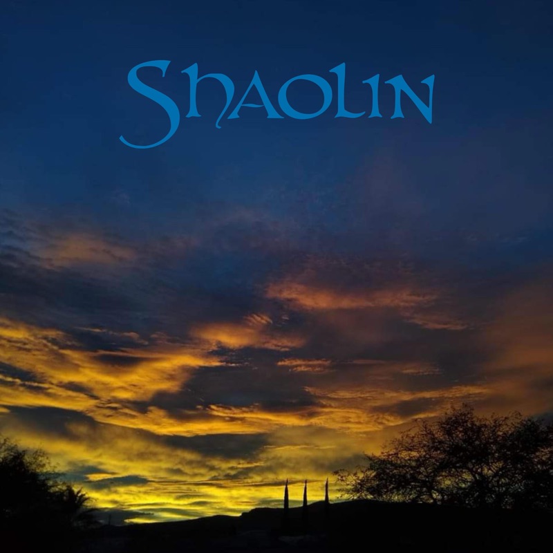 Shaolin (feat. Arokem) - Alvarado Calavera: Song Lyrics, Music Videos ...