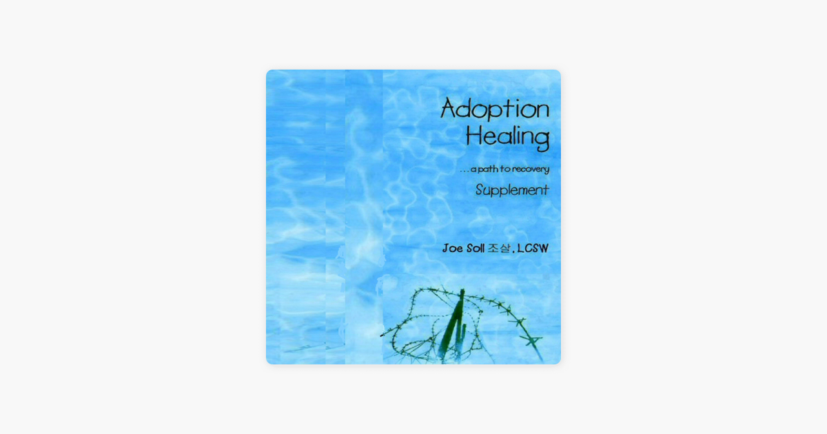 ‎Adoption Healing: ... A Path to Recovery Supplement, Book 3 ...