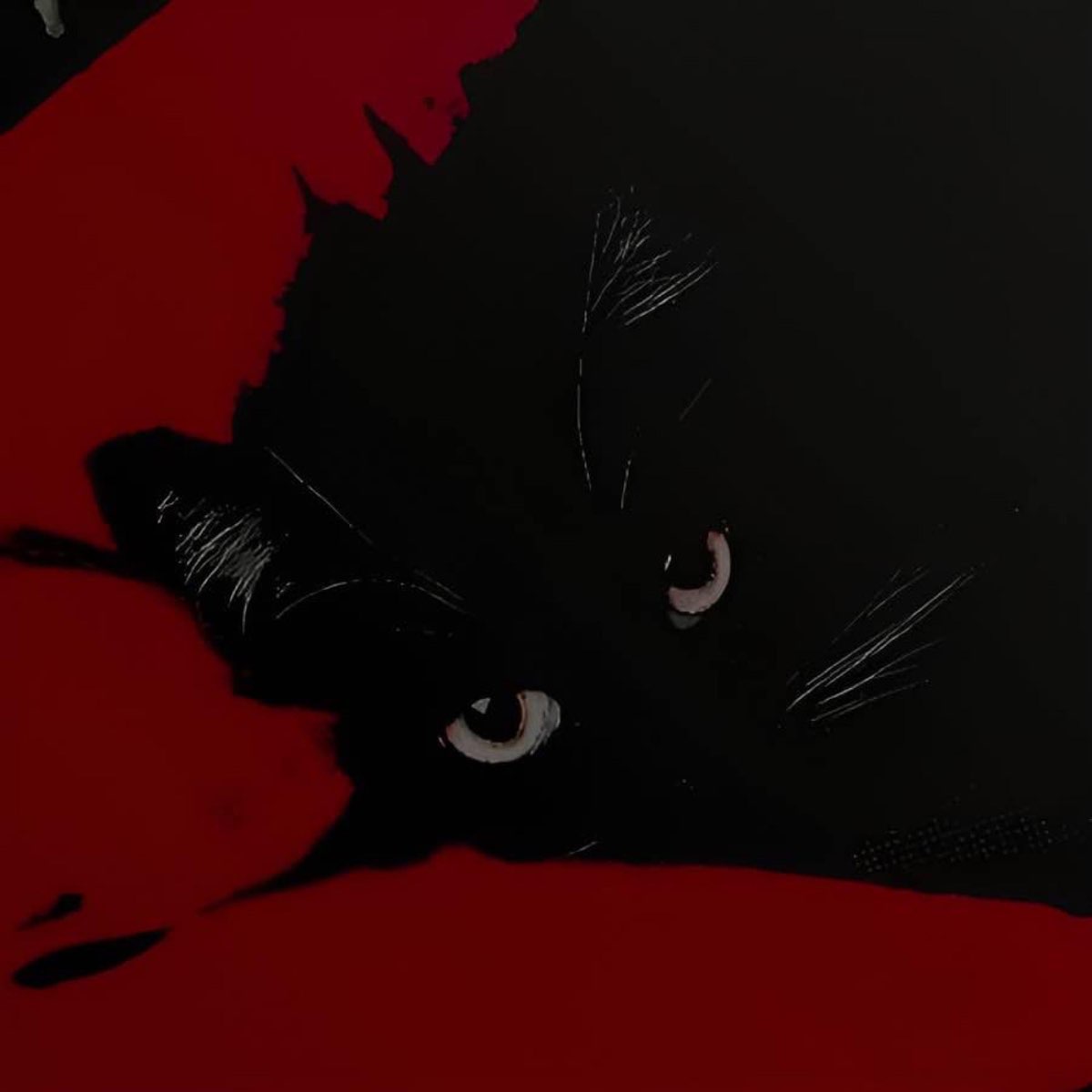 ‎bleed - Single - Album by Amotti - Apple Music