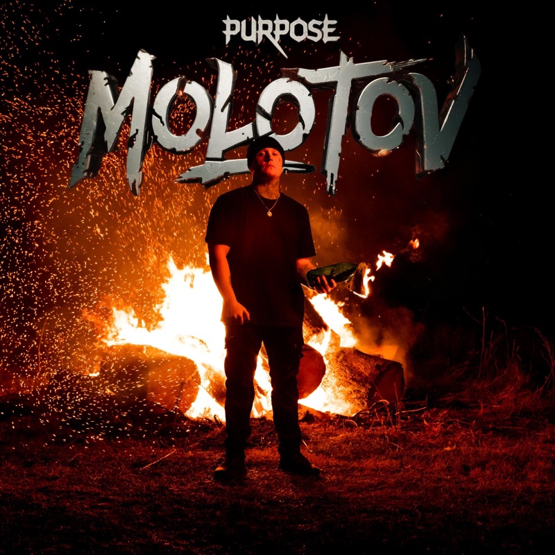 Good Spirit, Evil Sinner - Purpose: Song Lyrics, Music Videos & Concerts