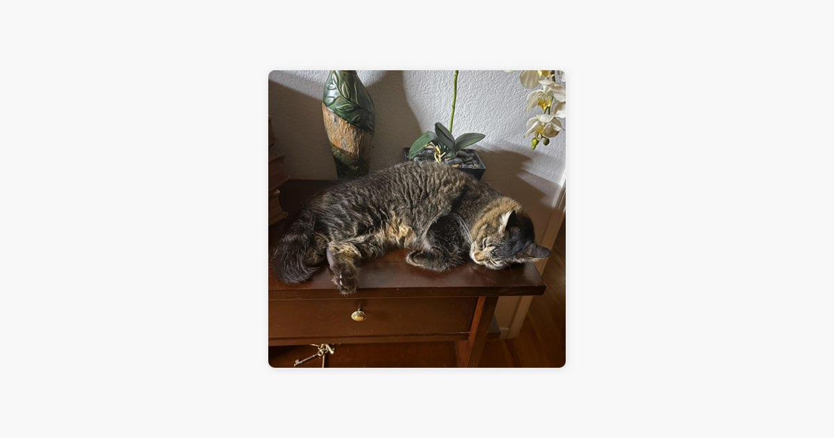 ‎Keena's Era (acoustic version) [acoustic] - Album by Sajkeena - Apple ...