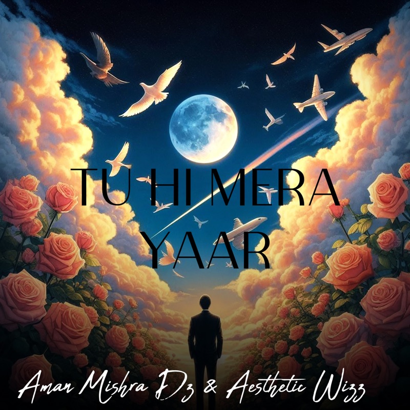 Tu Hi Mera Yaar - Aman Mishra DZ & Aesthetic Wizz: Song Lyrics, Music ...