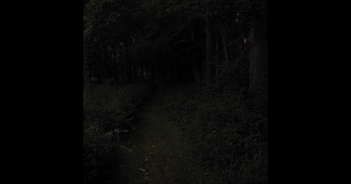 ‎Trill Sammy - Single - Album by chochos blastin! - Apple Music