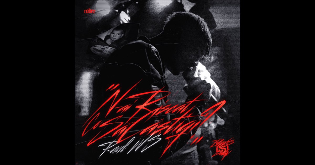 ‎N-AI RISCAT CE SA CASTIGI - Single - Album di Raul Ws - Apple Music