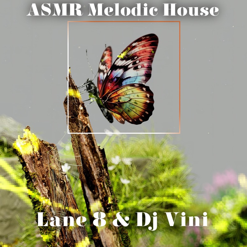 ASMR (LANE 8 & Dj VINI Melodic House) - DJ Vini: Song Lyrics, Music ...