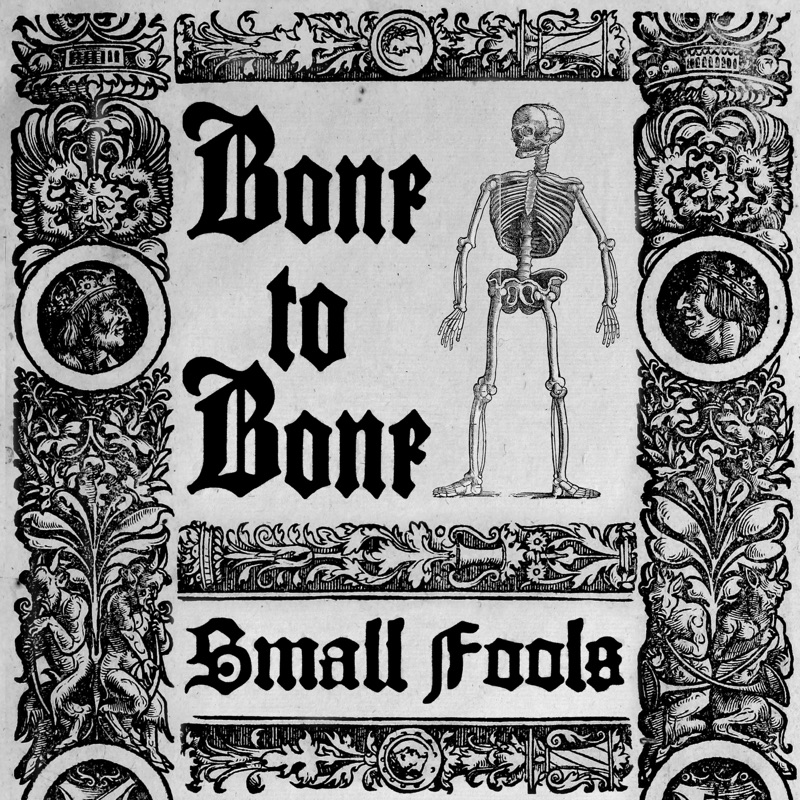 Bone to Bone - Small Fools: Song Lyrics, Music Videos & Concerts