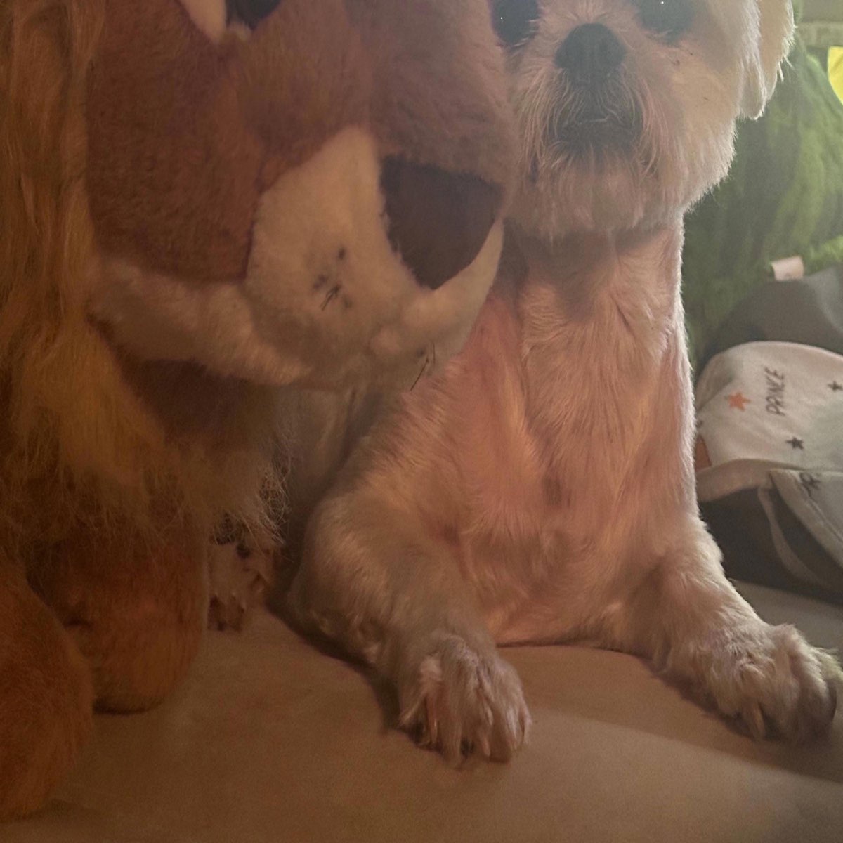 ‎Life song - Album by J addy 360 degrees - Apple Music