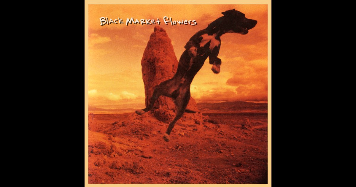 ‎Bind (Remastered 2025) - Black Market Flowersのアルバム - Apple Music