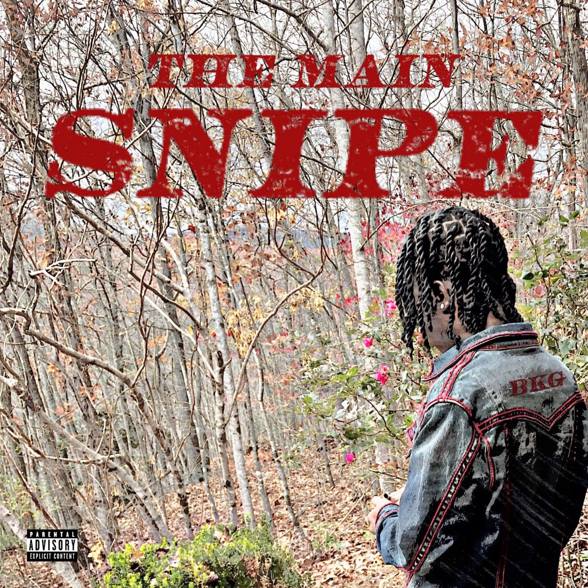 ‎THE MAIN SNIPE - EP - Album by Baby Sniper - Apple Music