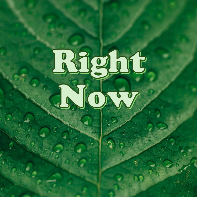 Nice Days (Gone Away) - David Epperson: Song Lyrics, Music Videos & Concerts