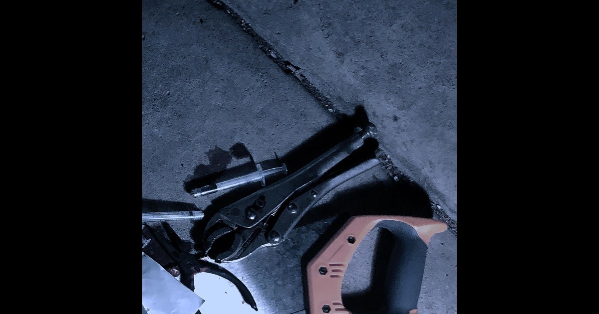 ‎Petplay Polycule Open Fire / Wasted Potential - Single - Uboaのアルバム ...