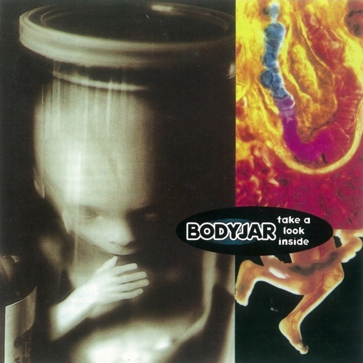 ‎Take a Look Inside - Bodyjarのアルバム - Apple Music