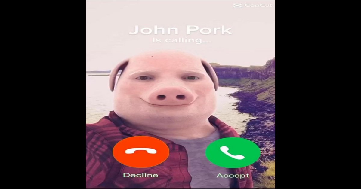 ‎John Pork - Single - Album by CØUNT€R-STRAF€ - Apple Music