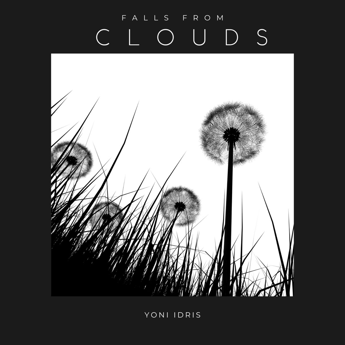 ‎Falls From Clouds - Album by Yoni Idris - Apple Music