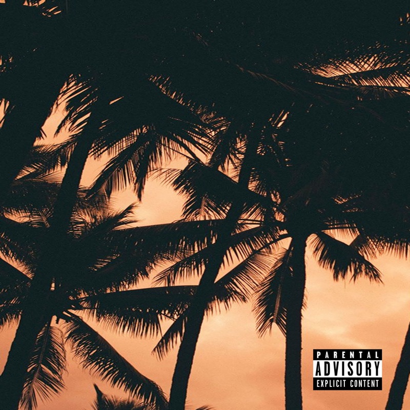 Dracos N 7.62s (feat. 4wrld Osama) - El Camo: Song Lyrics, Music Videos ...