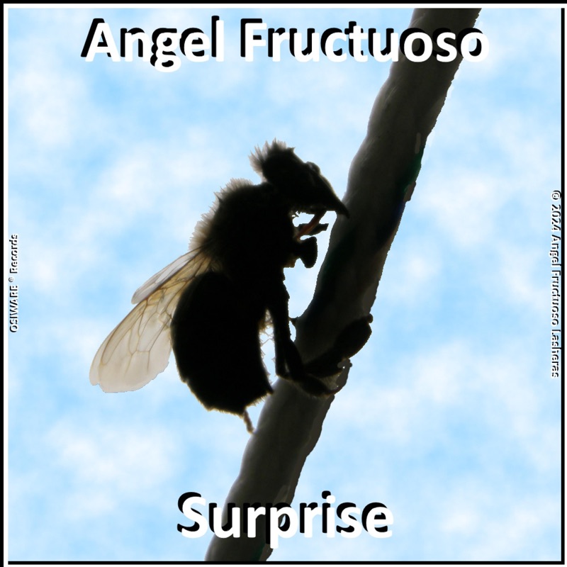 Surprise - Angel Fructuoso: Song Lyrics, Music Videos & Concerts