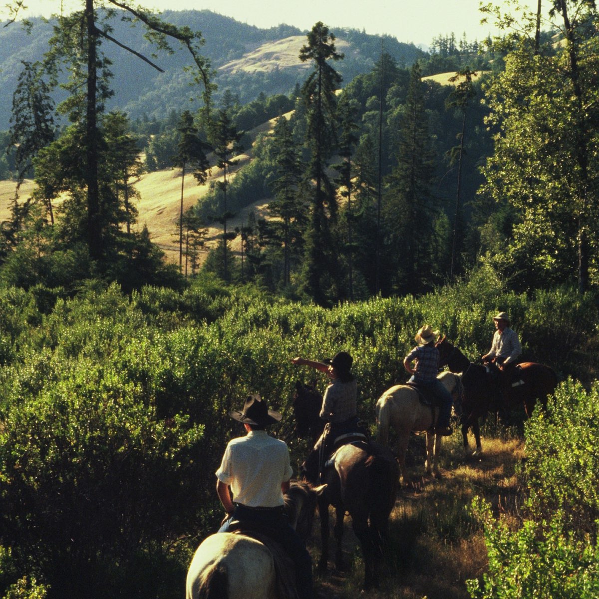 ‎Is it me, is this me? - Album by Psychedelic Cowboy - Apple Music