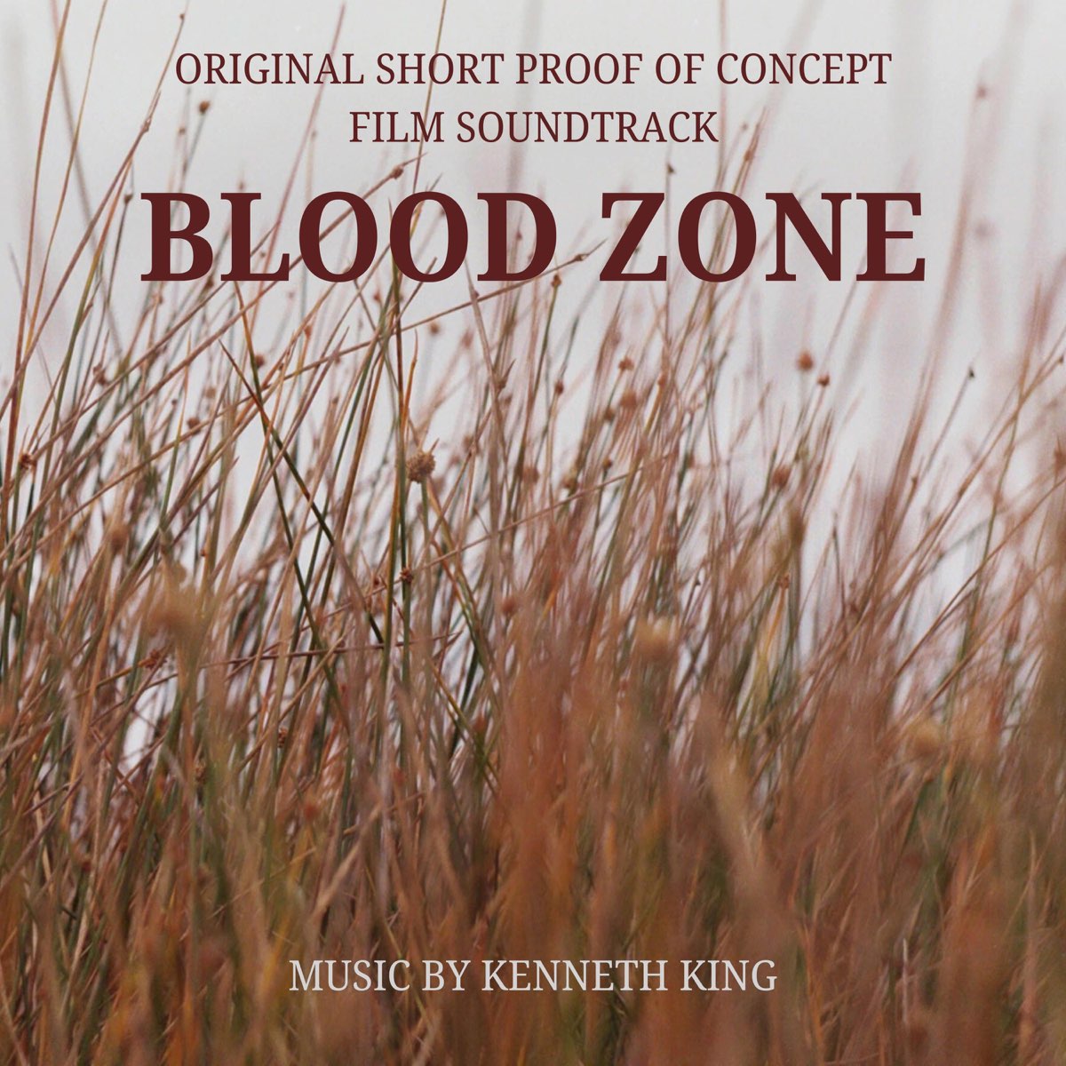 ‎Blood Zone (Original Short Proof-Of-Concept Film Soundtrack) - Album ...