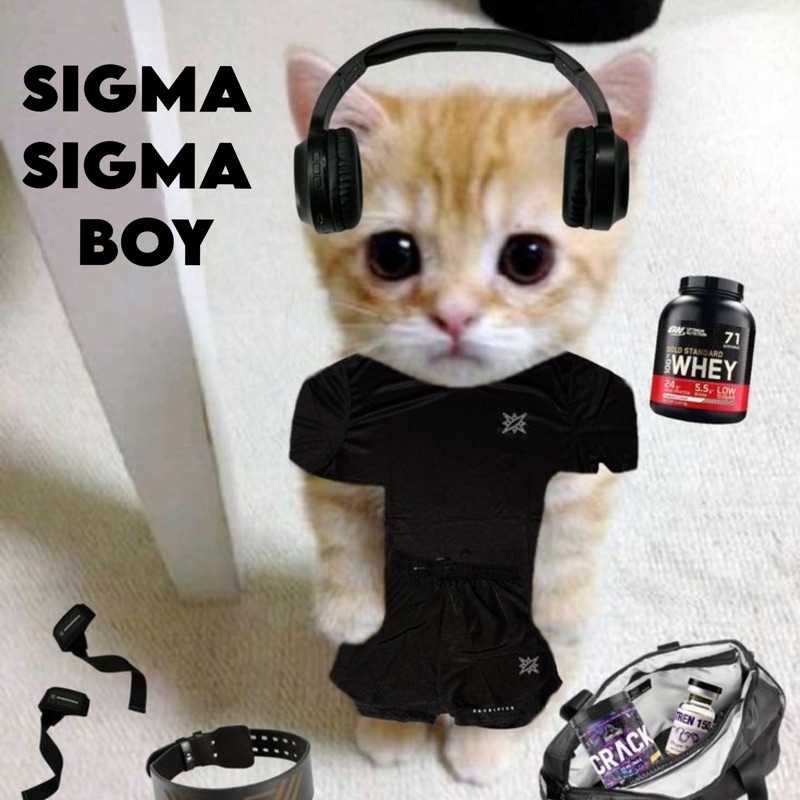SIGMA BOY-SLOWED - INSX9E: Song Lyrics, Music Videos & Concerts