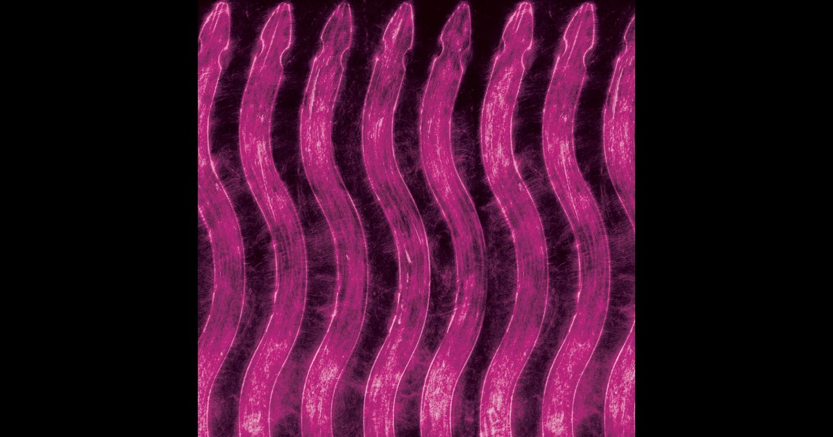 ‎Neon Nightmares - EP - Album by Erode The Dream - Apple Music