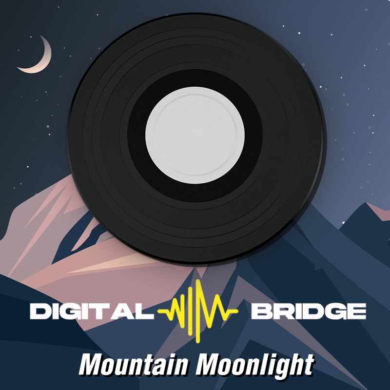 Starlight - Digital Bridge: Song Lyrics, Music Videos & Concerts