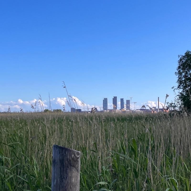 Butterfly - Toni Berg: Song Lyrics, Music Videos & Concerts