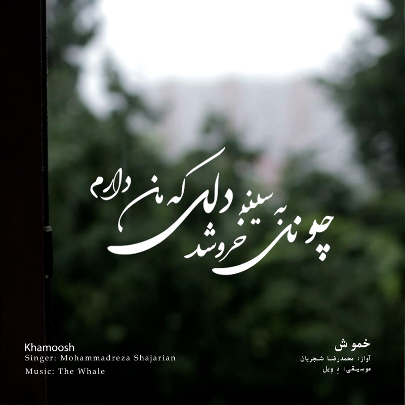 Khamoosh (Rework of M.R Shajarian) - The Whale: Song Lyrics, Music ...