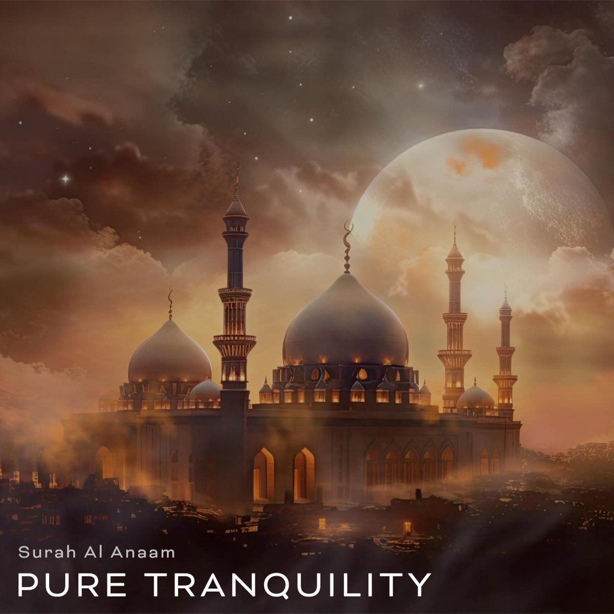 ‎Surah Al Anaam (Tranquility) - Album by Omar Hisham - Apple Music