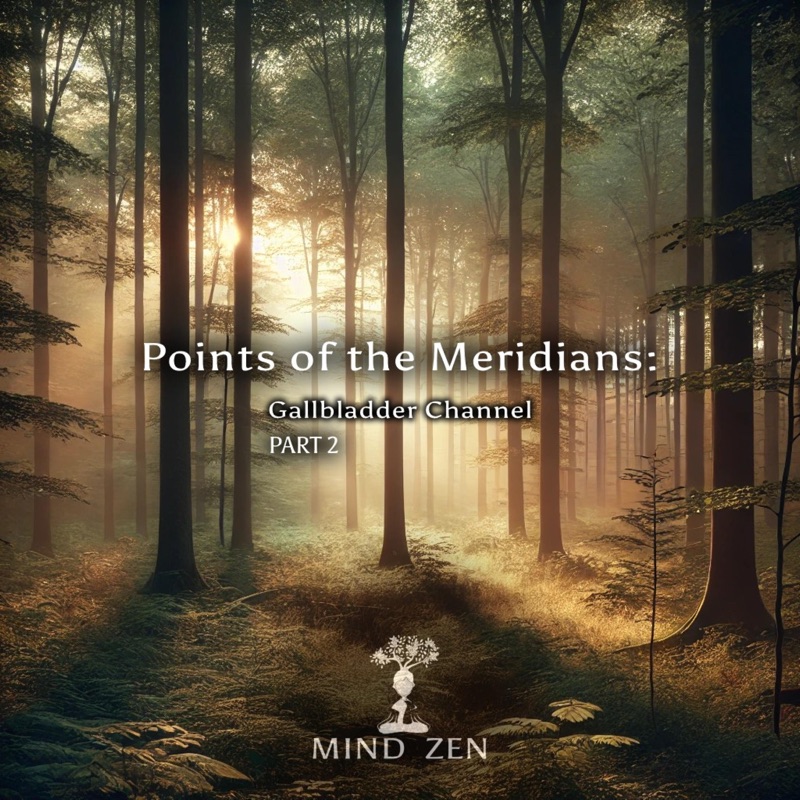 Sinew Seat (Zhe Jin) - Mind Zen: Song Lyrics, Music Videos & Concerts