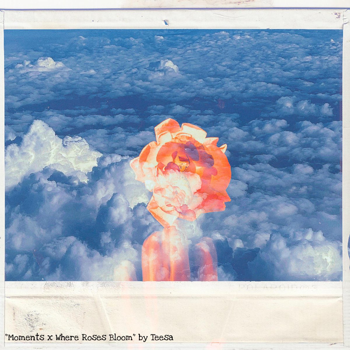 ‎Moments x Where Roses Bloom (Voice Memo) - Single - Album by Teesa ...