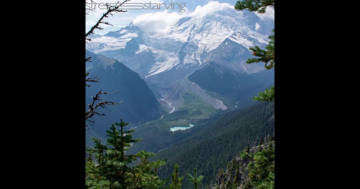 ‎Stress Starving - EP - Album by boycomma - Apple Music