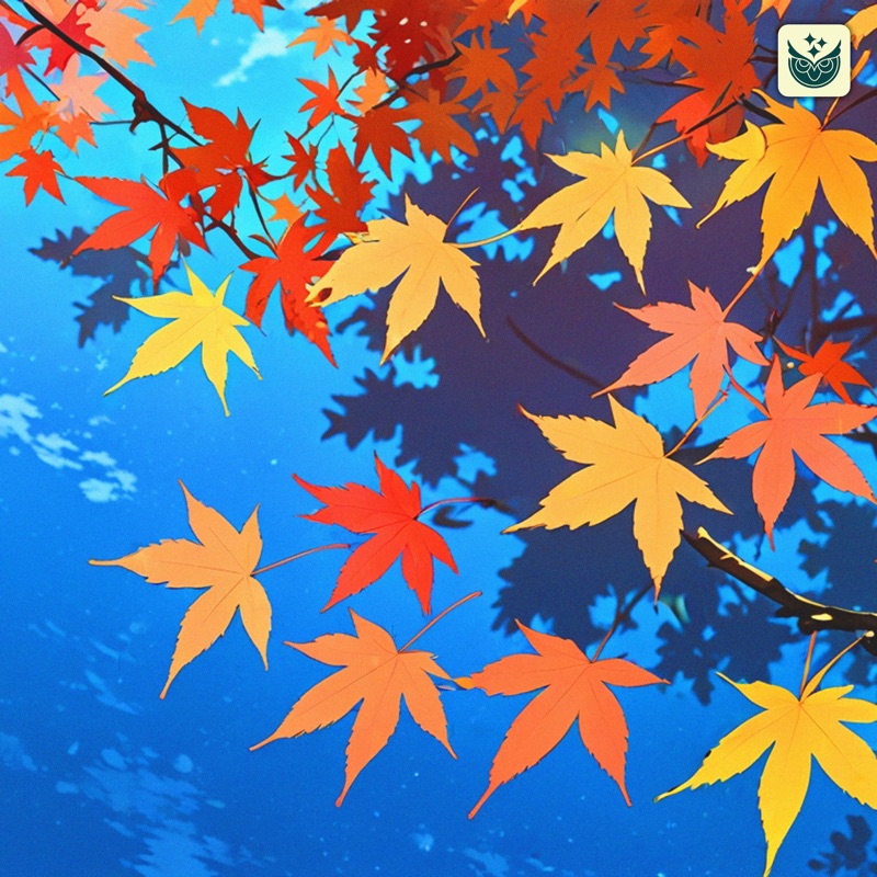 Maple - softy beats & Dream WRLD: Song Lyrics, Music Videos & Concerts