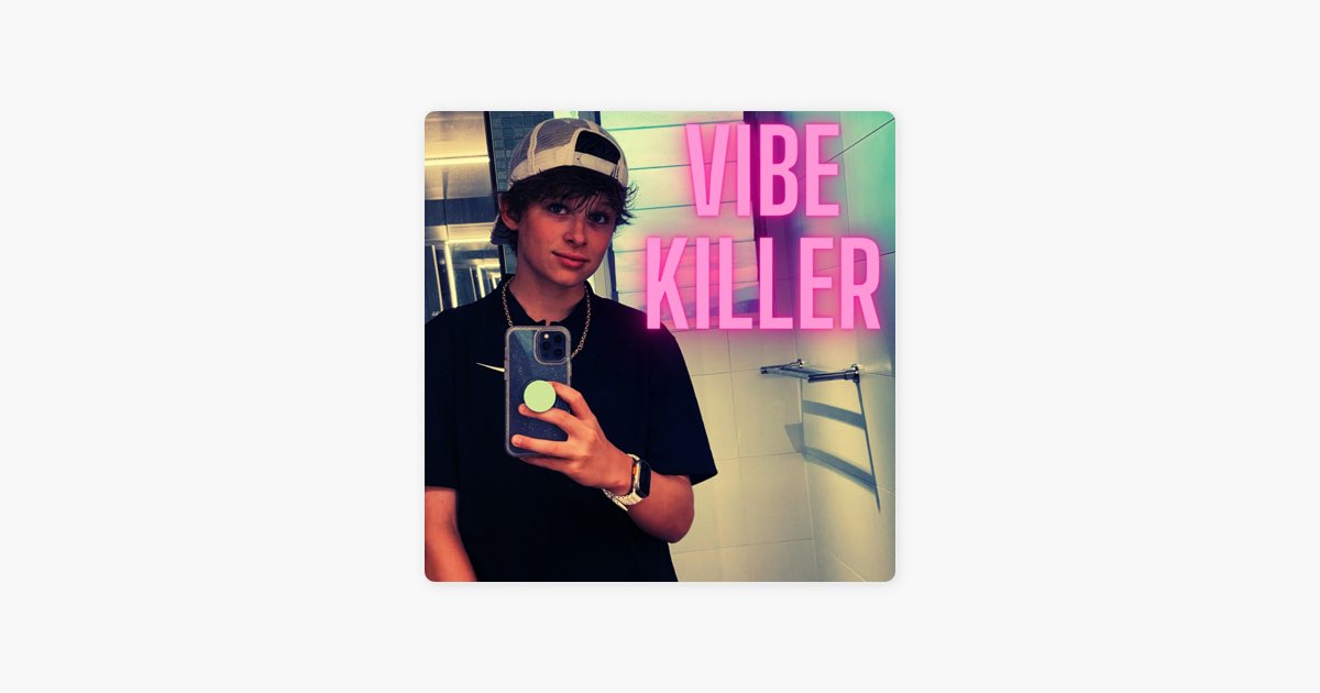 ‎Vibe Killer - Song by Norris Nuts - Apple Music