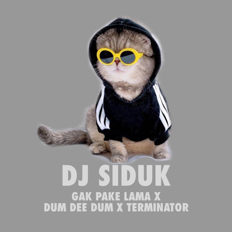 DJ GAK PAKE LAMA X DUM DEE DUM X TERMINATOR - DJ SIDUK: Song Lyrics ...