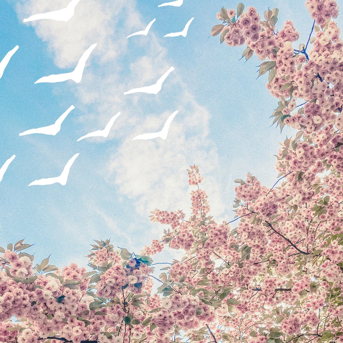 ‎Journey - Single - Album by MILD Music - Apple Music