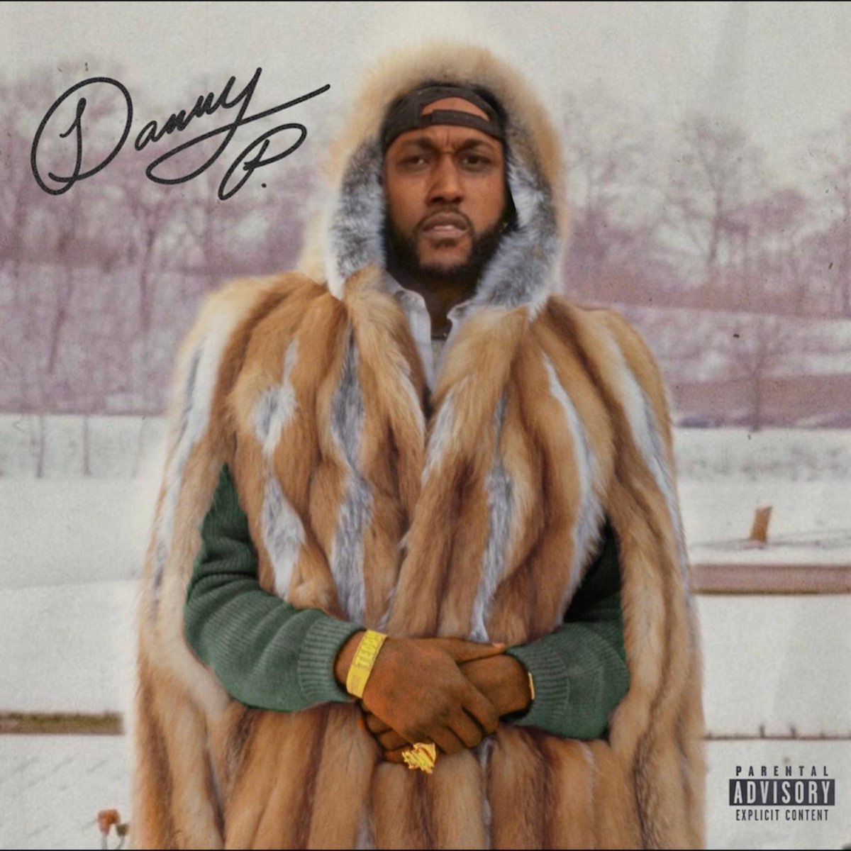 Danny P (Deluxe)》- Daniel Payne的专辑 - Apple Music